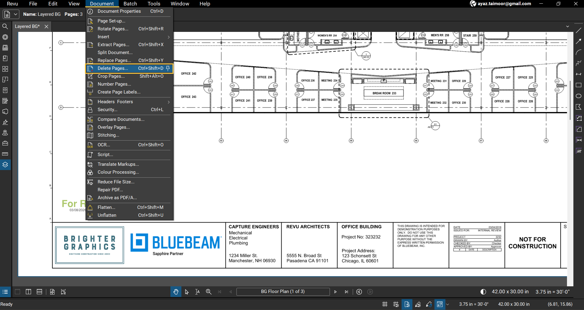 Add, Delete, Replace, and Crop PDF Pages in Bluebeam Revu 21 | Brighter ...